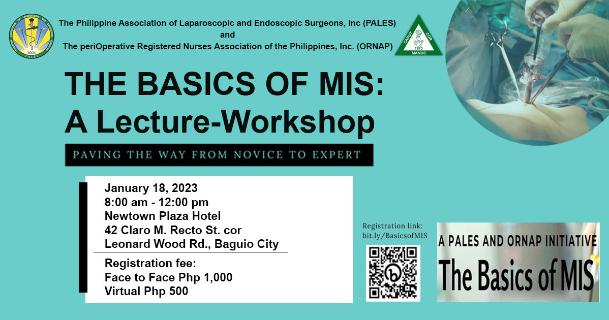 The Basics of MIS: A Lecture Workshop